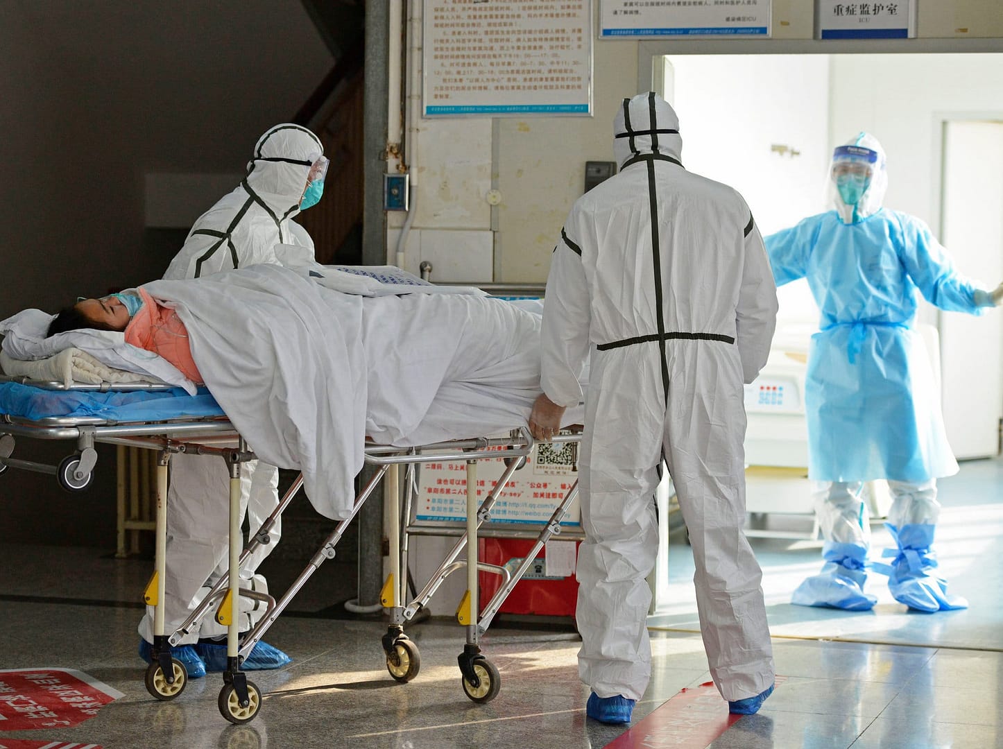 Pandemics-history, control, and prevention - Strategian: Science Magazine