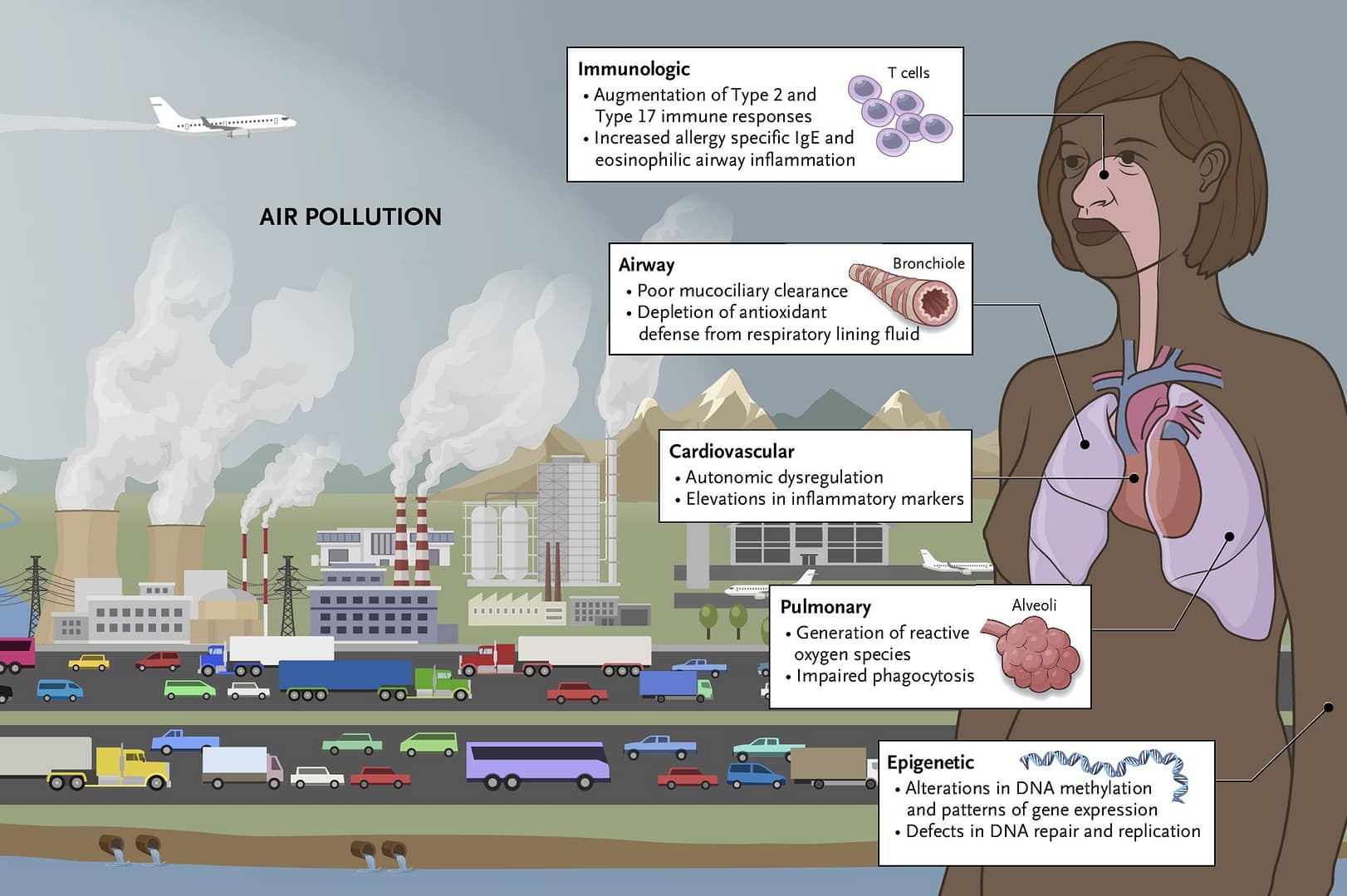 Air pollution: one of the world's greatest public health threats ...