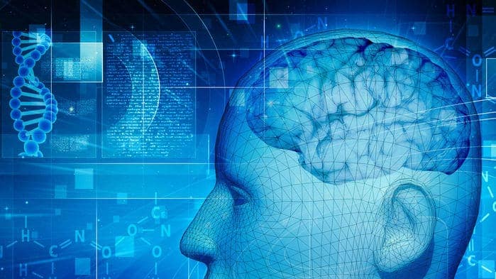 Discovering new genes behind human intelligence and mental health ...